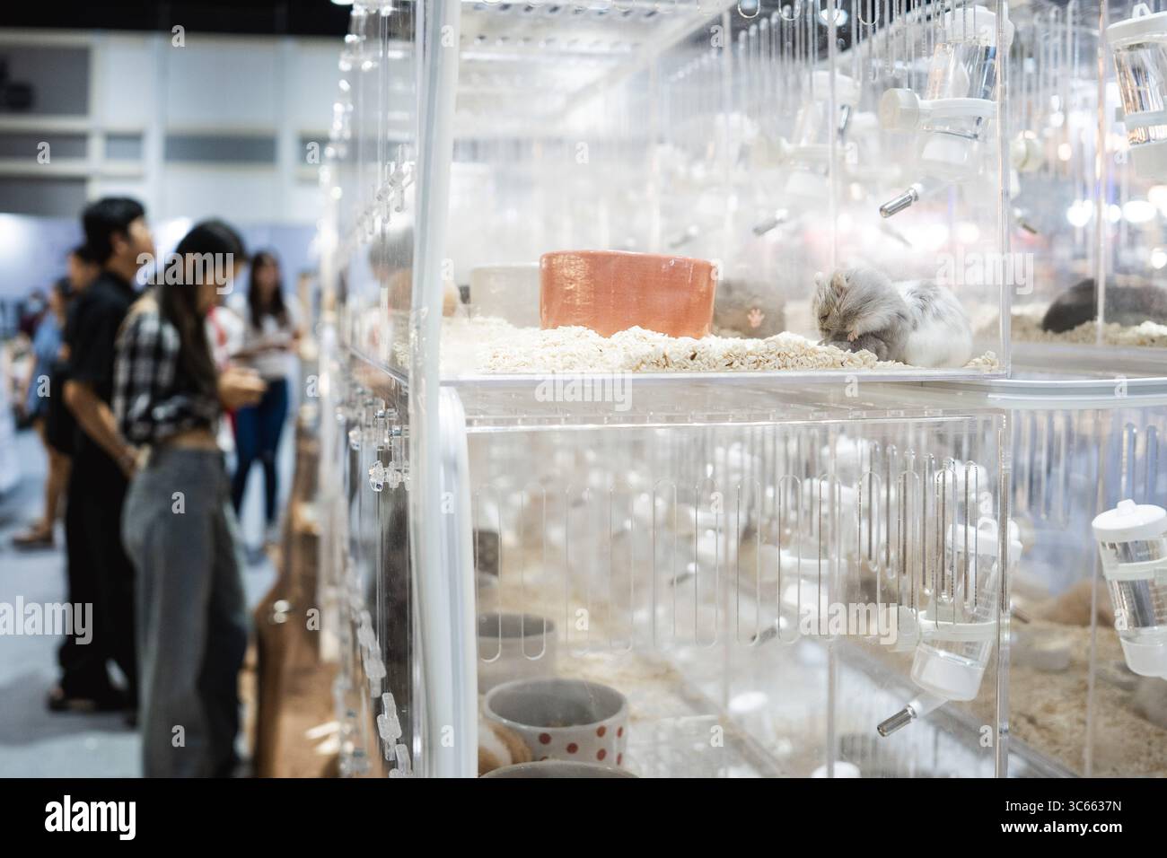 A hamster rests inside a transparent enclosure as visitors browse the small animal section of ...