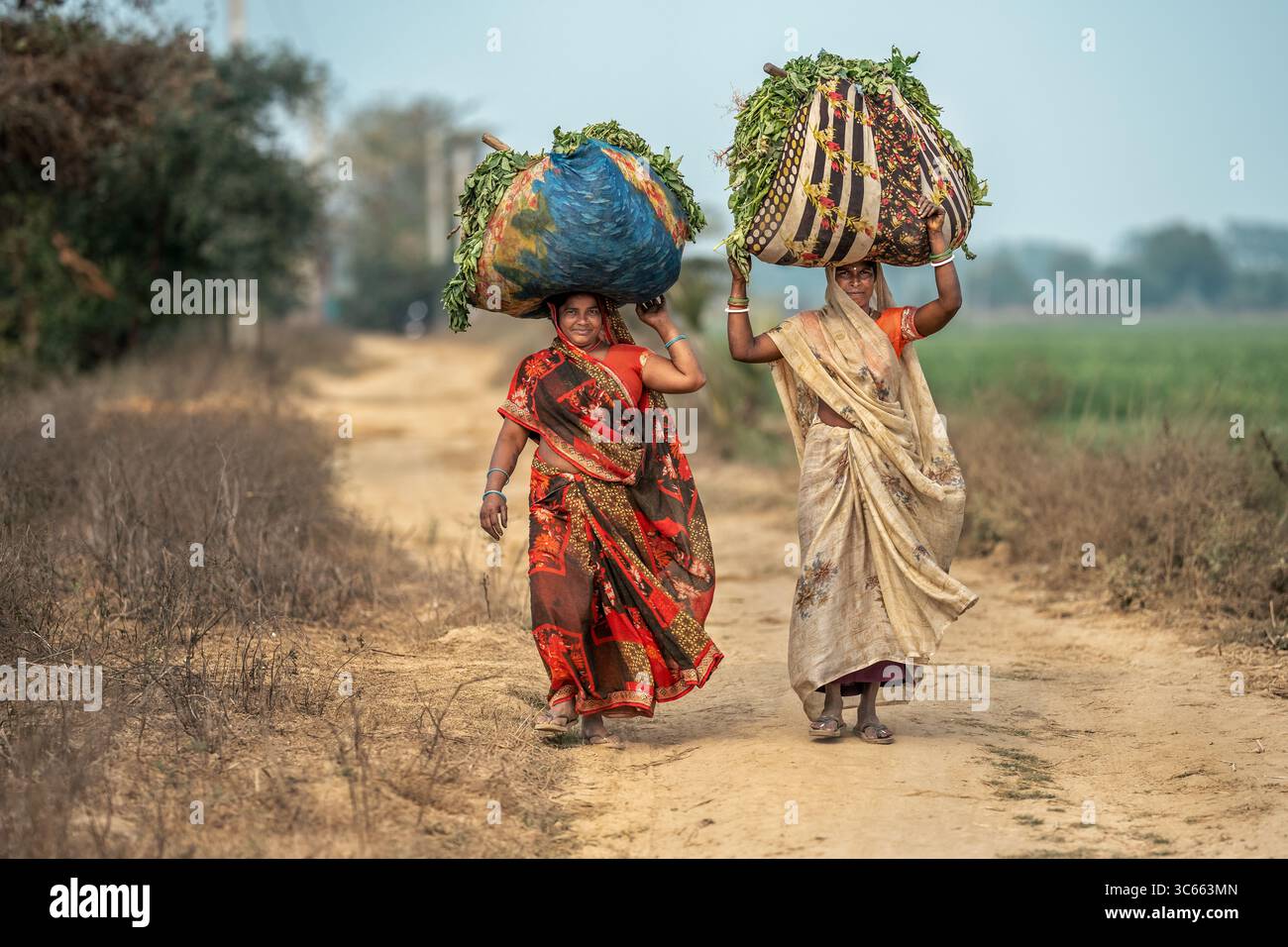 Kolkata, India - 28 January 2023: View of two women in saris walking ...