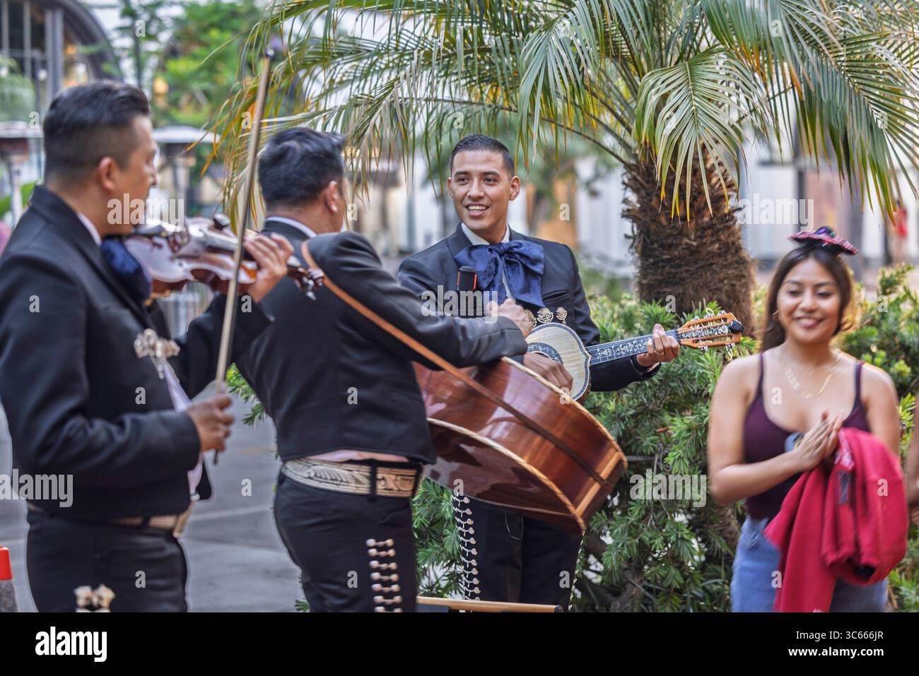 Music of Mariachi bands fill lower State Street in Santa Barbara, CA on ...