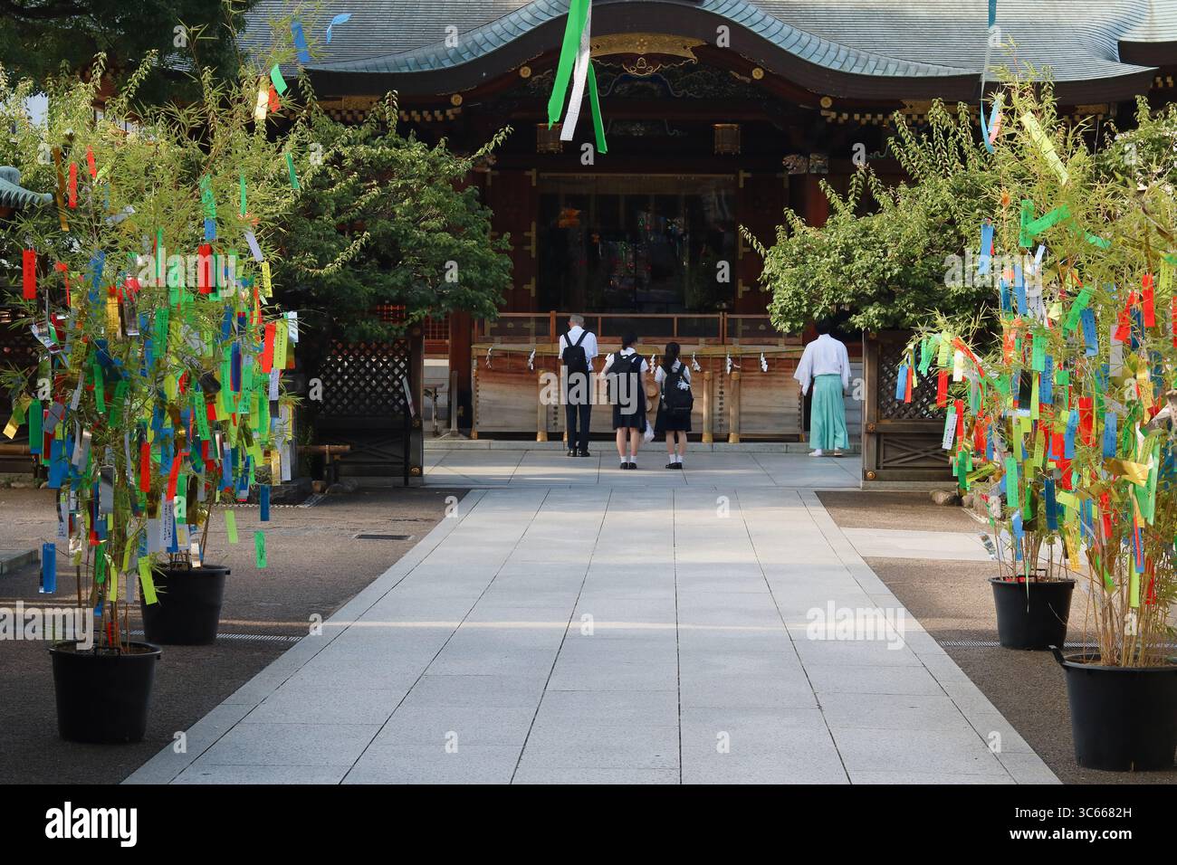 TOKYO, JAPAN - July 24, 2025: Tanzaku (wishes) hanging on bamboo to ...