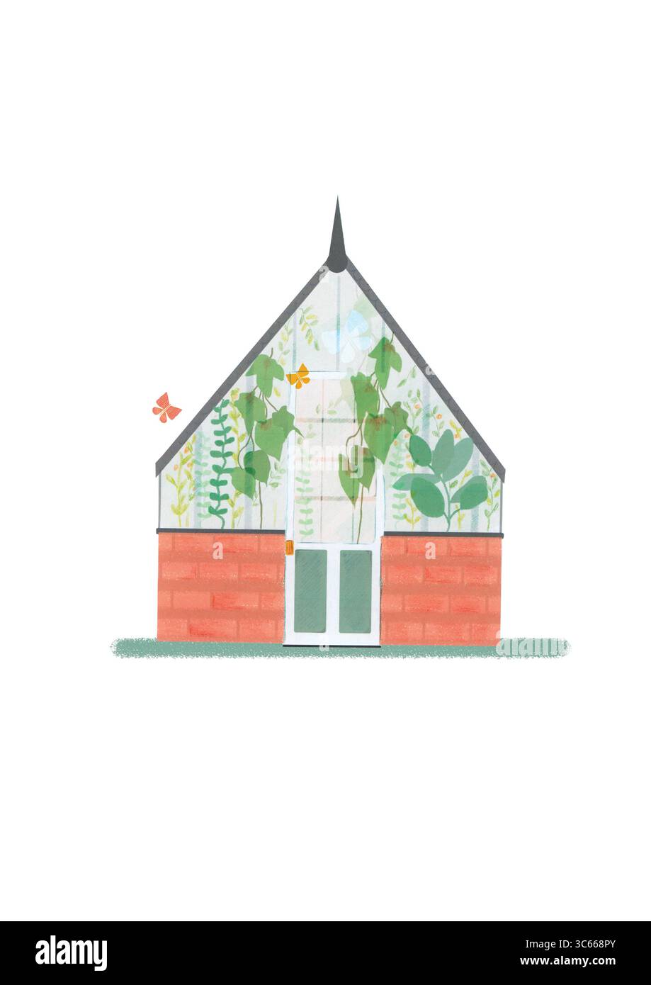 Vines growing on Cut Out Stock Images & Pictures - Alamy