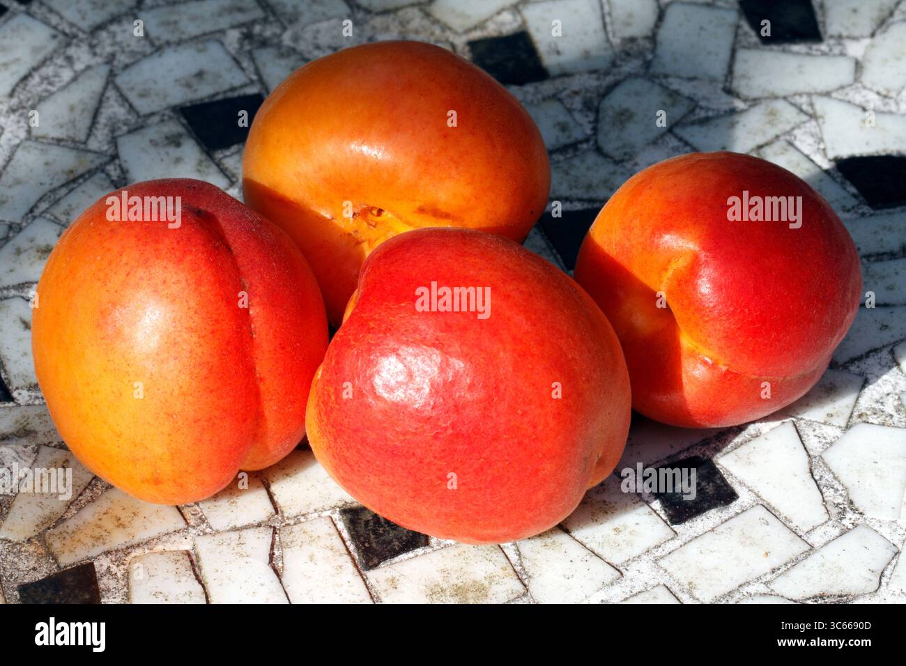Lilly cot hi-res stock photography and images - Alamy