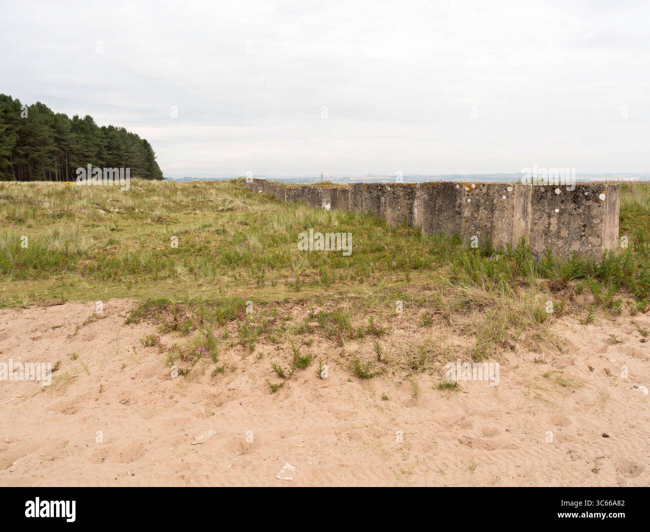 Concrete anti-tank blocks from World War 2, in the grassy dunes of ...