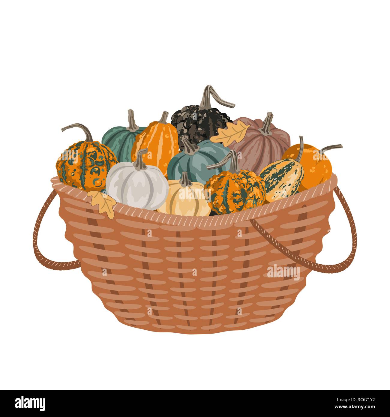 Pumpkin gourds harvest basket, fall composition for Thanksgiving and ...