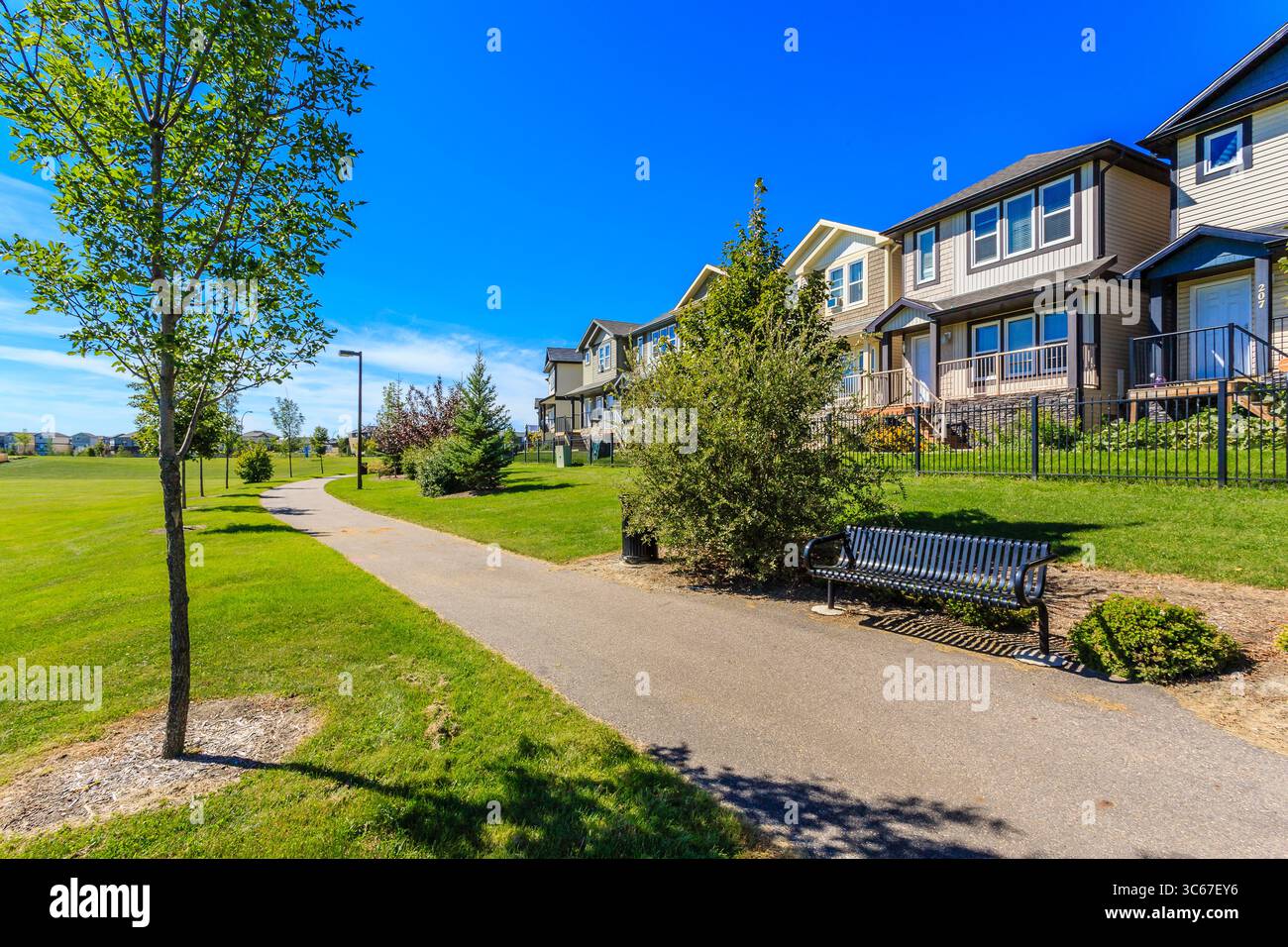 Park with a path and a bench. The bench is empty. The park is ...
