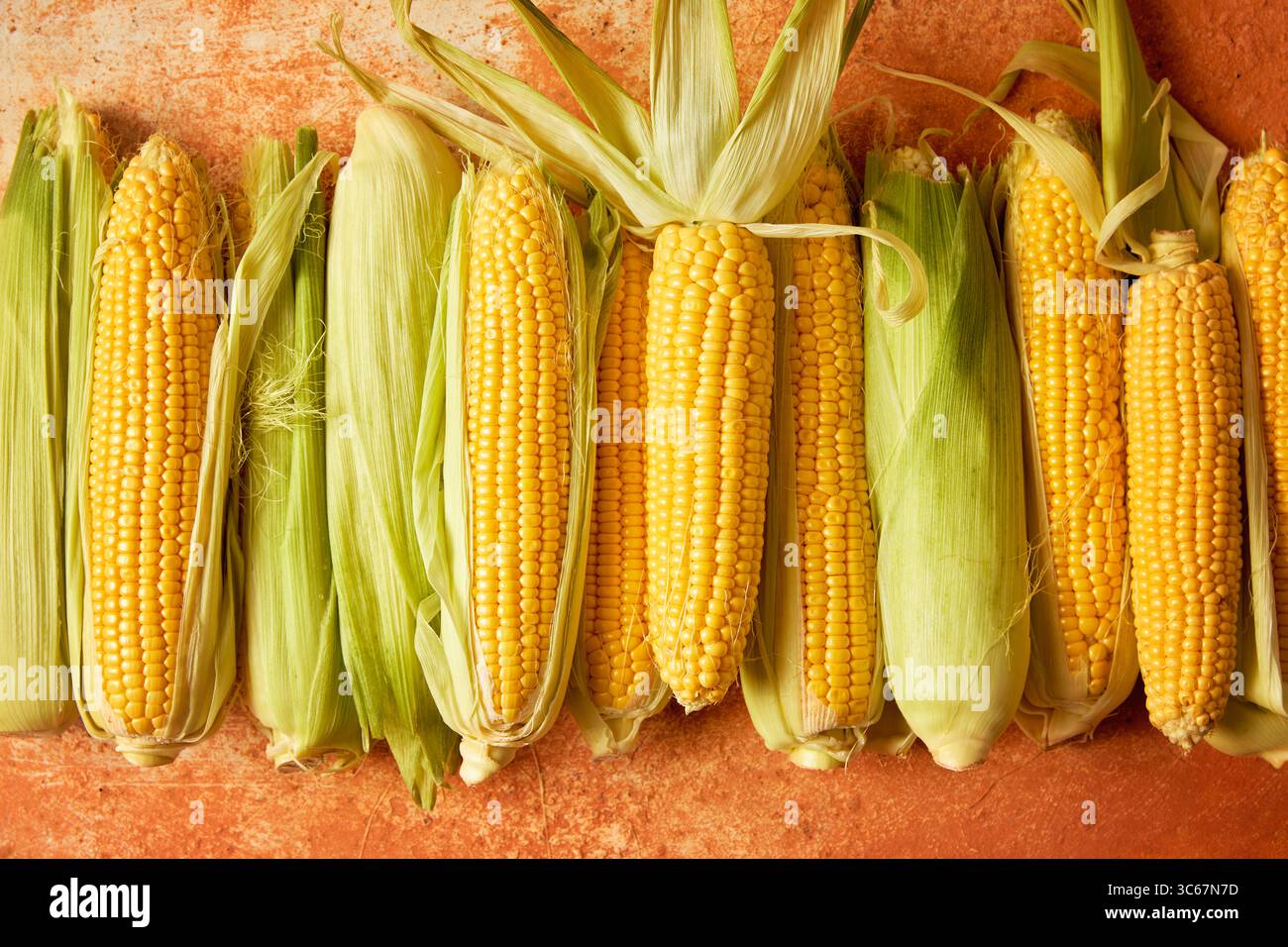 Organic corn cob in hi-res stock photography and images - Alamy
