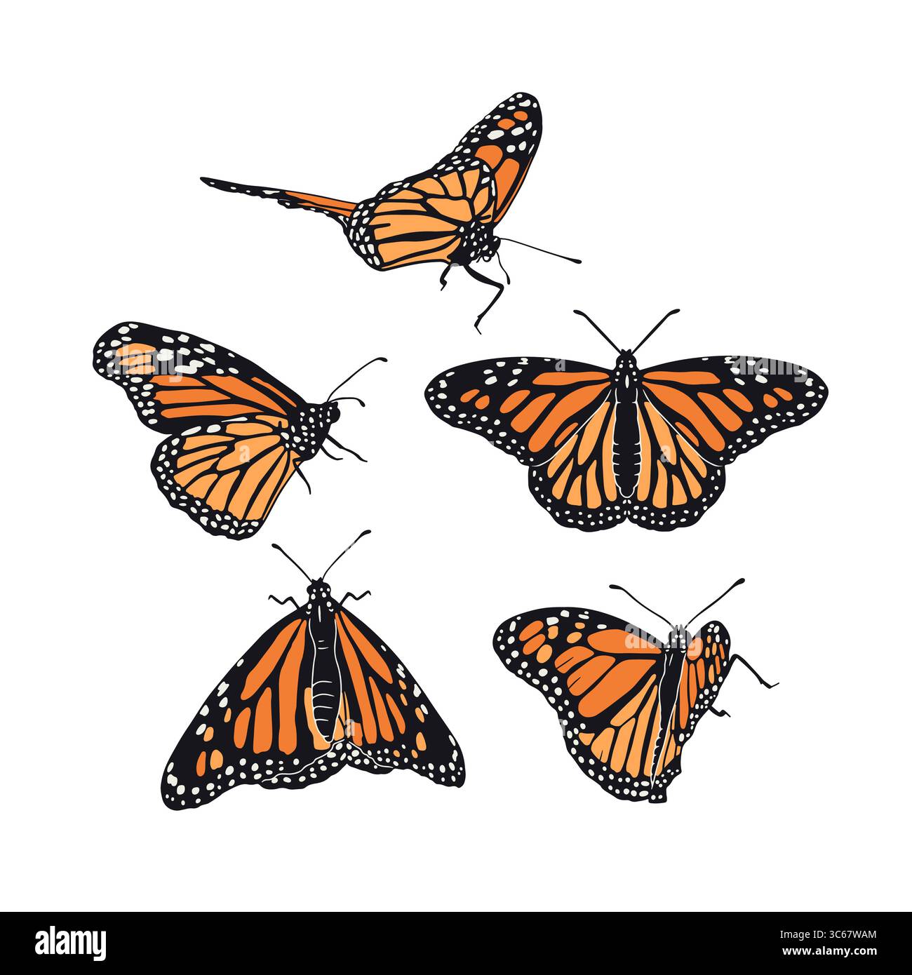 Hand drawn orange monarch butterflies clip art set. Beautiful tropical ...
