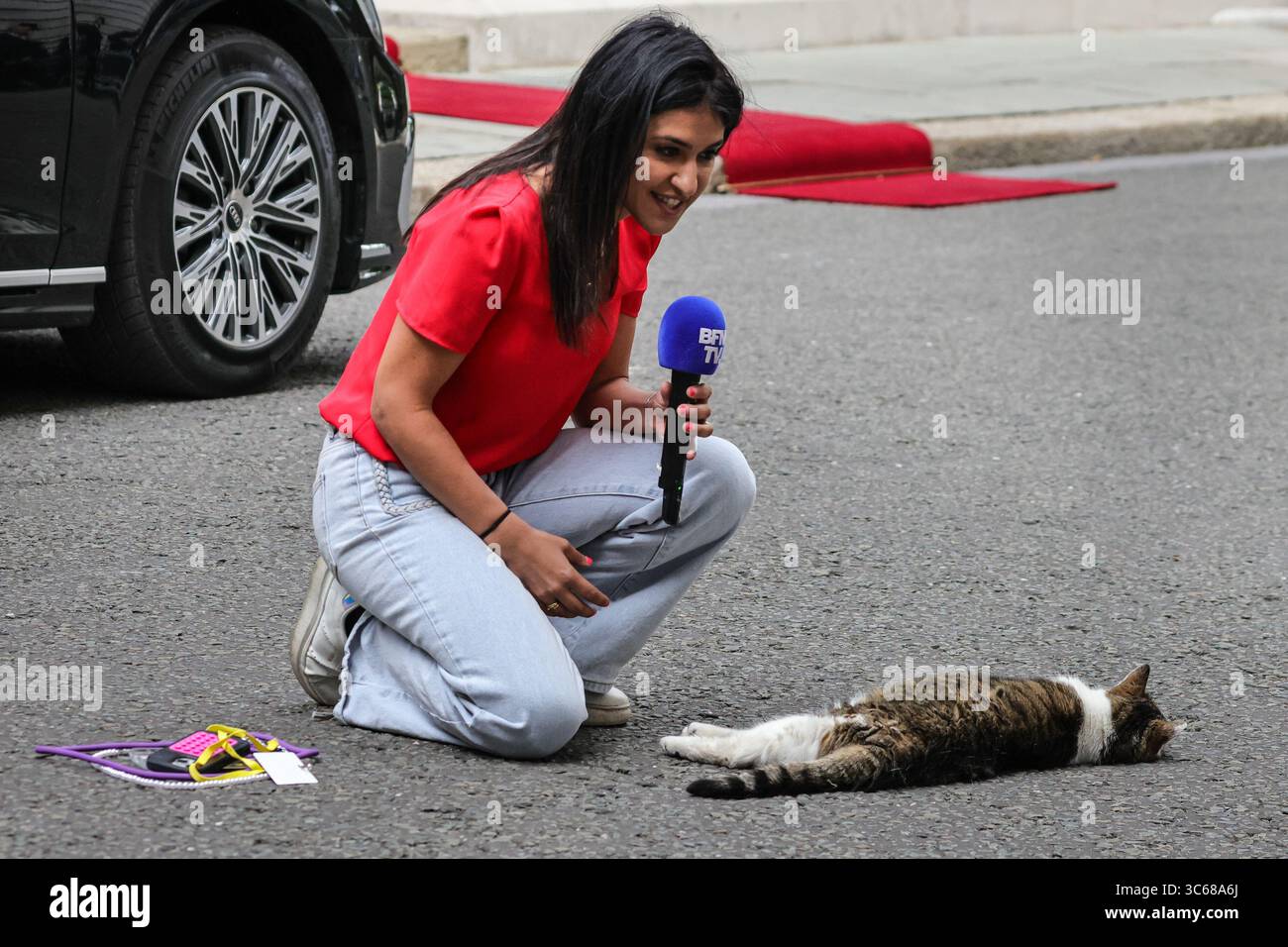 London, UK. 9th July, 2025. Larry the Downing Street cat, Chief Mouser ...