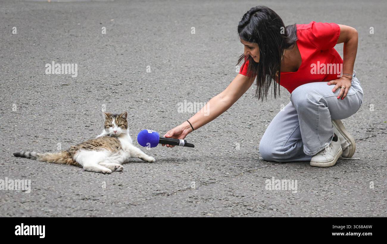 London, UK. 9th July, 2025. Larry the Downing Street cat, Chief Mouser ...