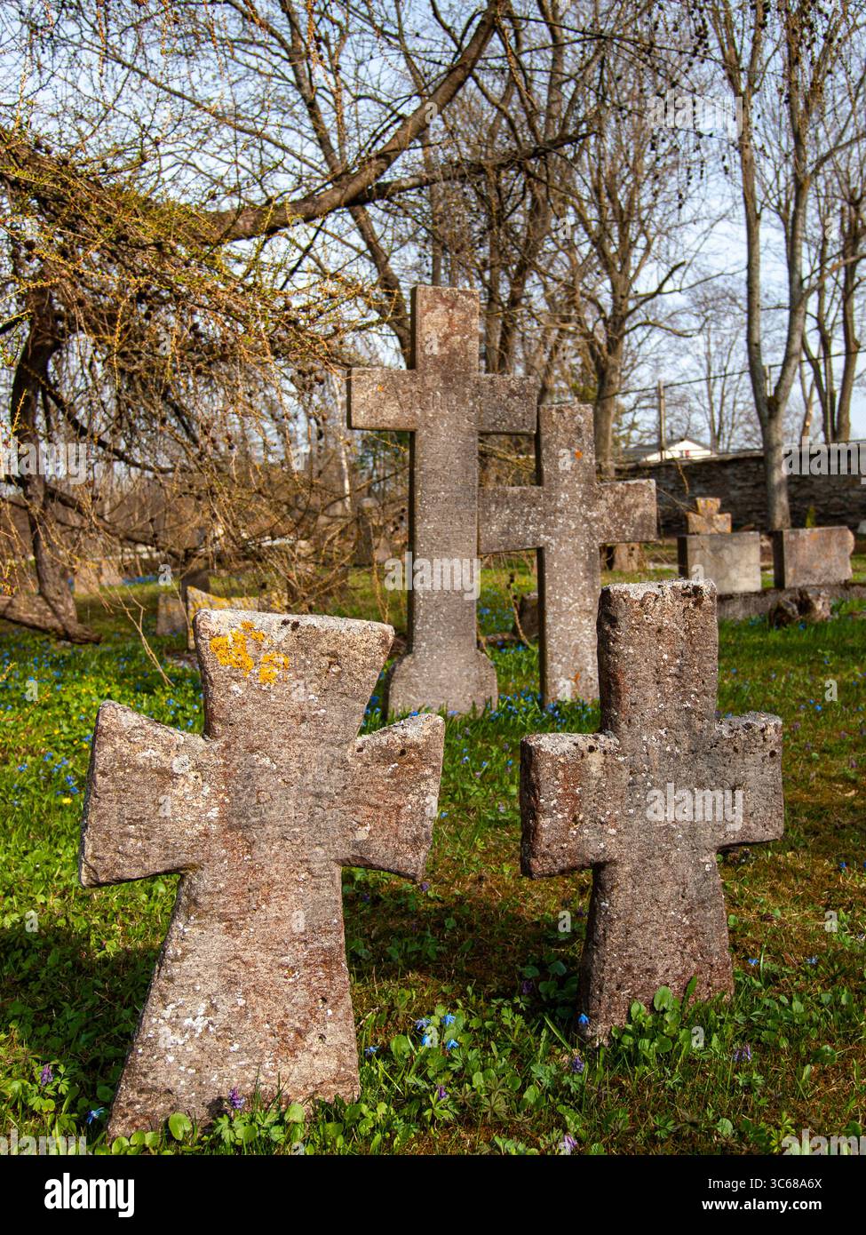 Medieval stone grave markers and crosses in the historic cemetery near ...
