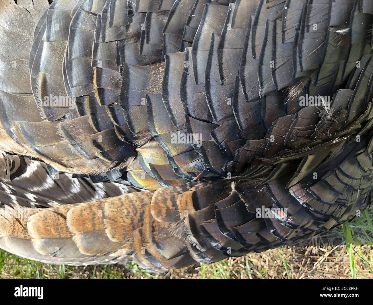 1672035 hi-res stock photography and images - Alamy