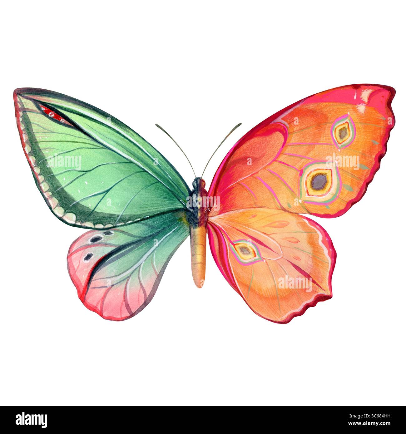 Colourful butterflies flying Cut Out Stock Images & Pictures - Alamy