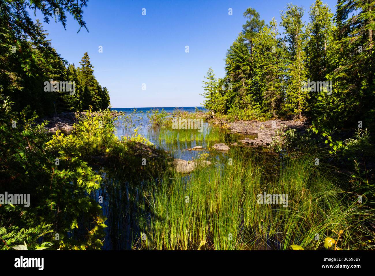 Bruce Peninsula National Park. A small overgrown cove near Little Dunks ...