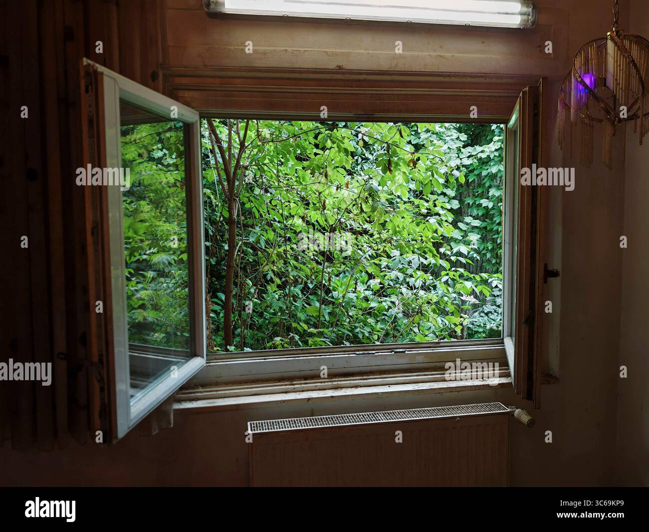 window pane in a building for watching outside and letting in light ...