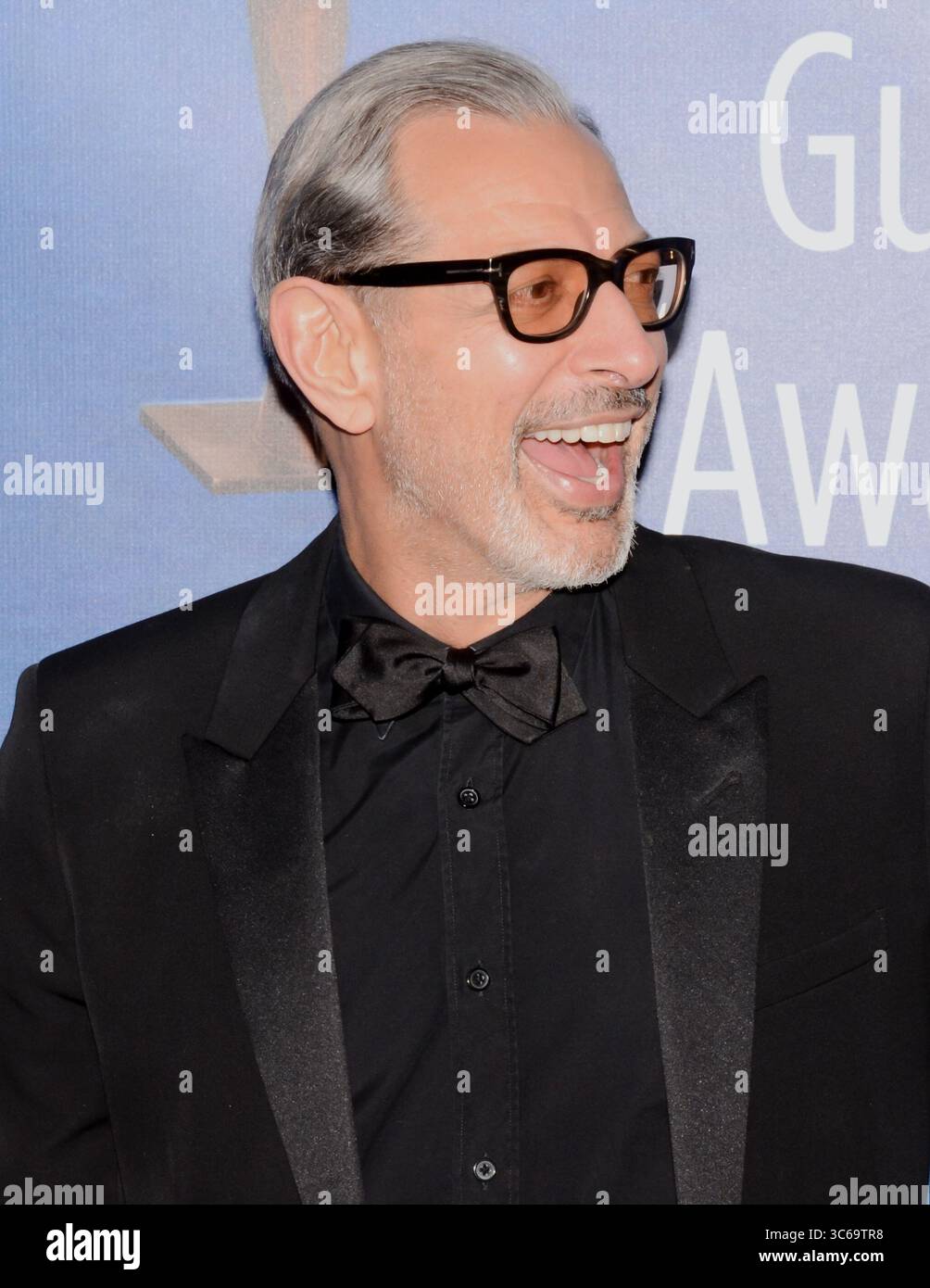 Jeff goldblum writers guild hi-res stock photography and images - Alamy