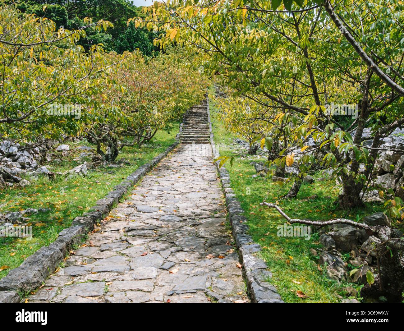 Nakijin catsle ruins in Okinawa Stock Photo - Alamy