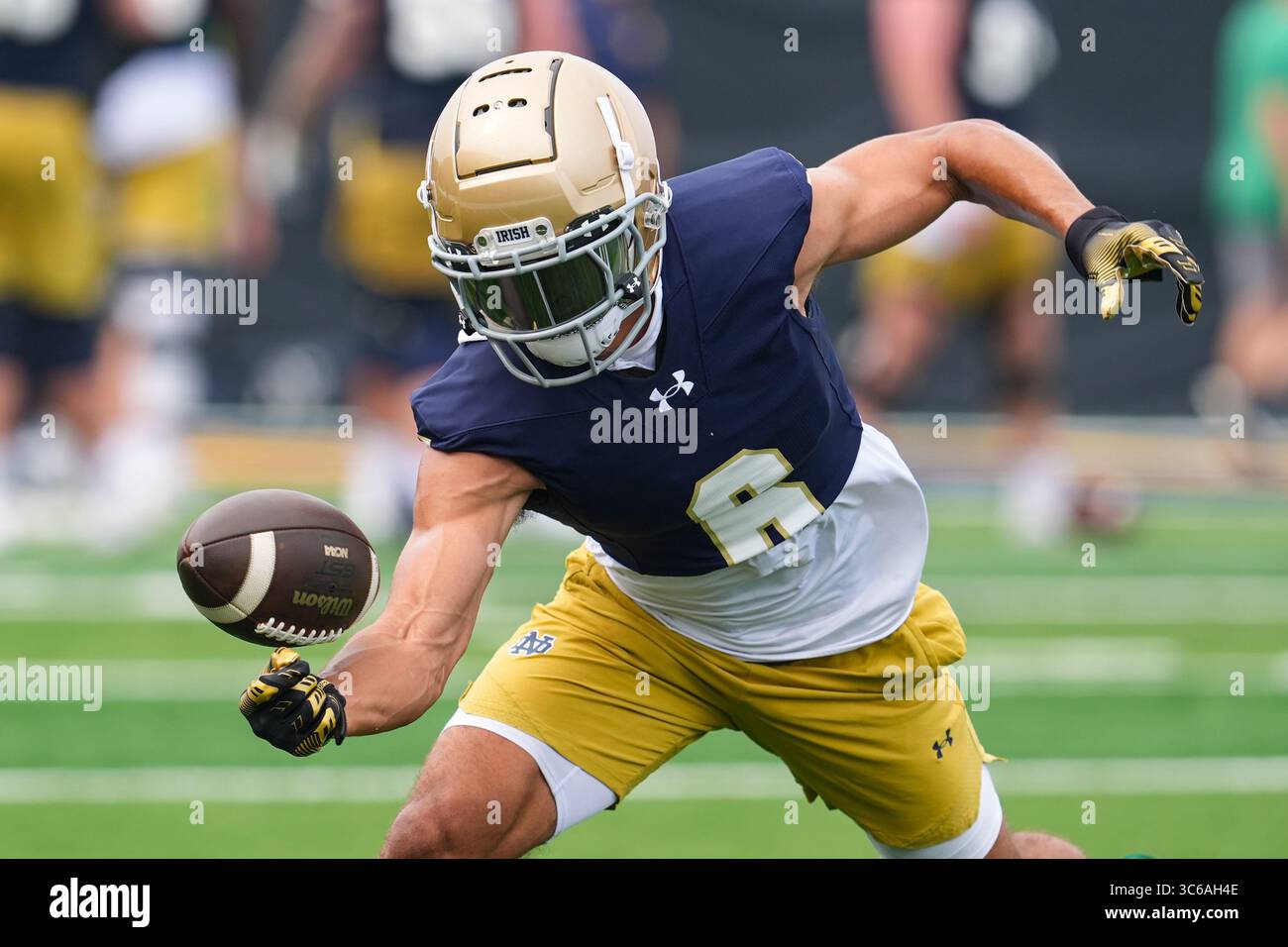 Notre Dame wide receiver Jordan Faison (6) makes a catch during NCAA ...