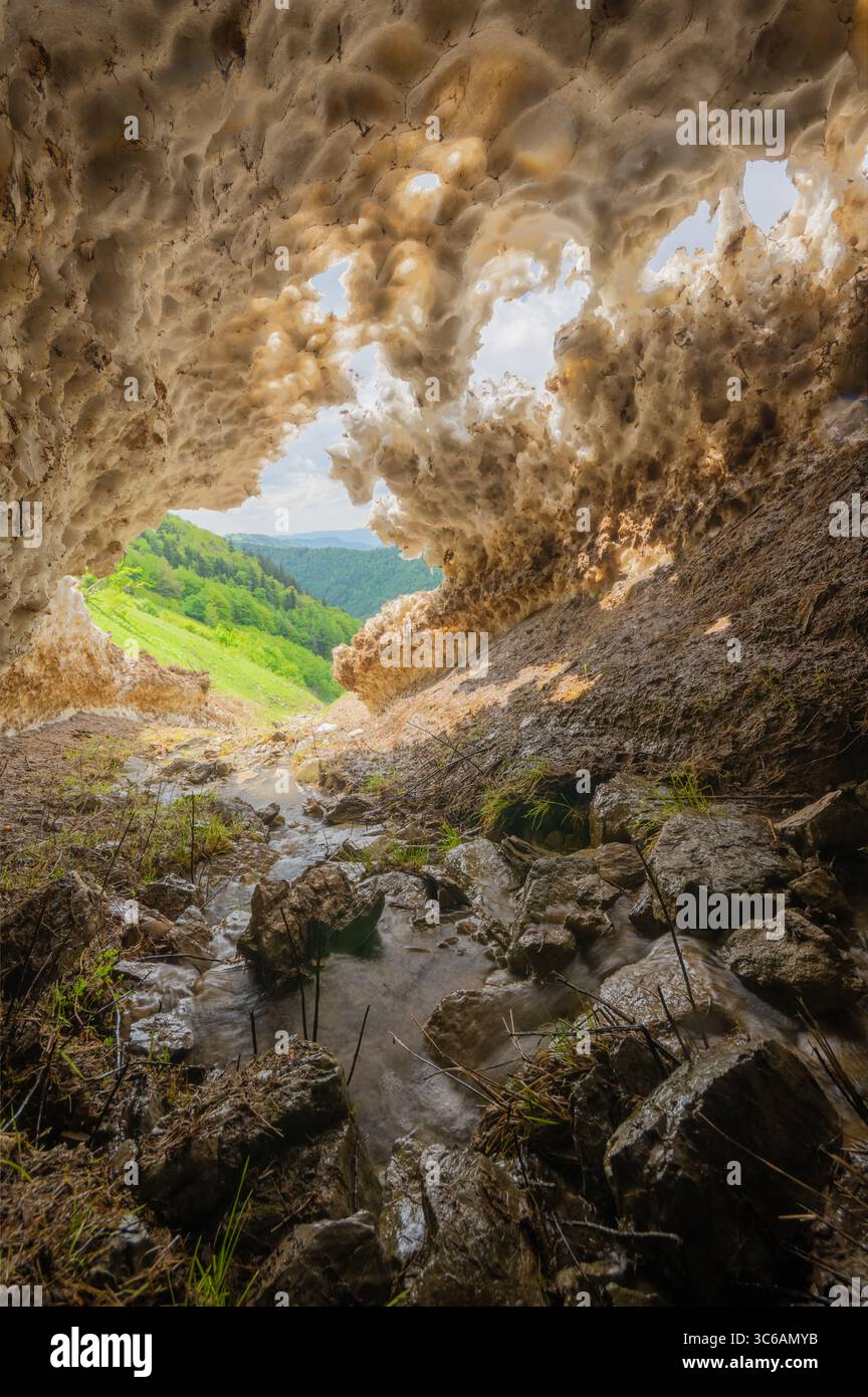 View of light streams into the shadowed cave, revealing a vibrant green ...