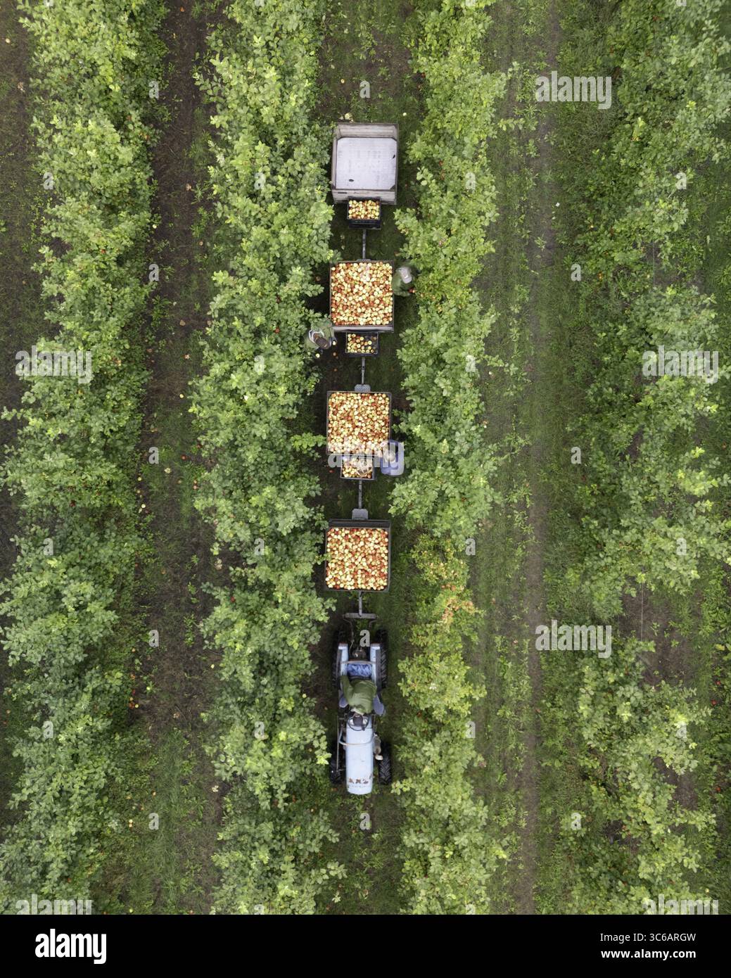 Aerial view farm tractor pulling hi-res stock photography and images ...