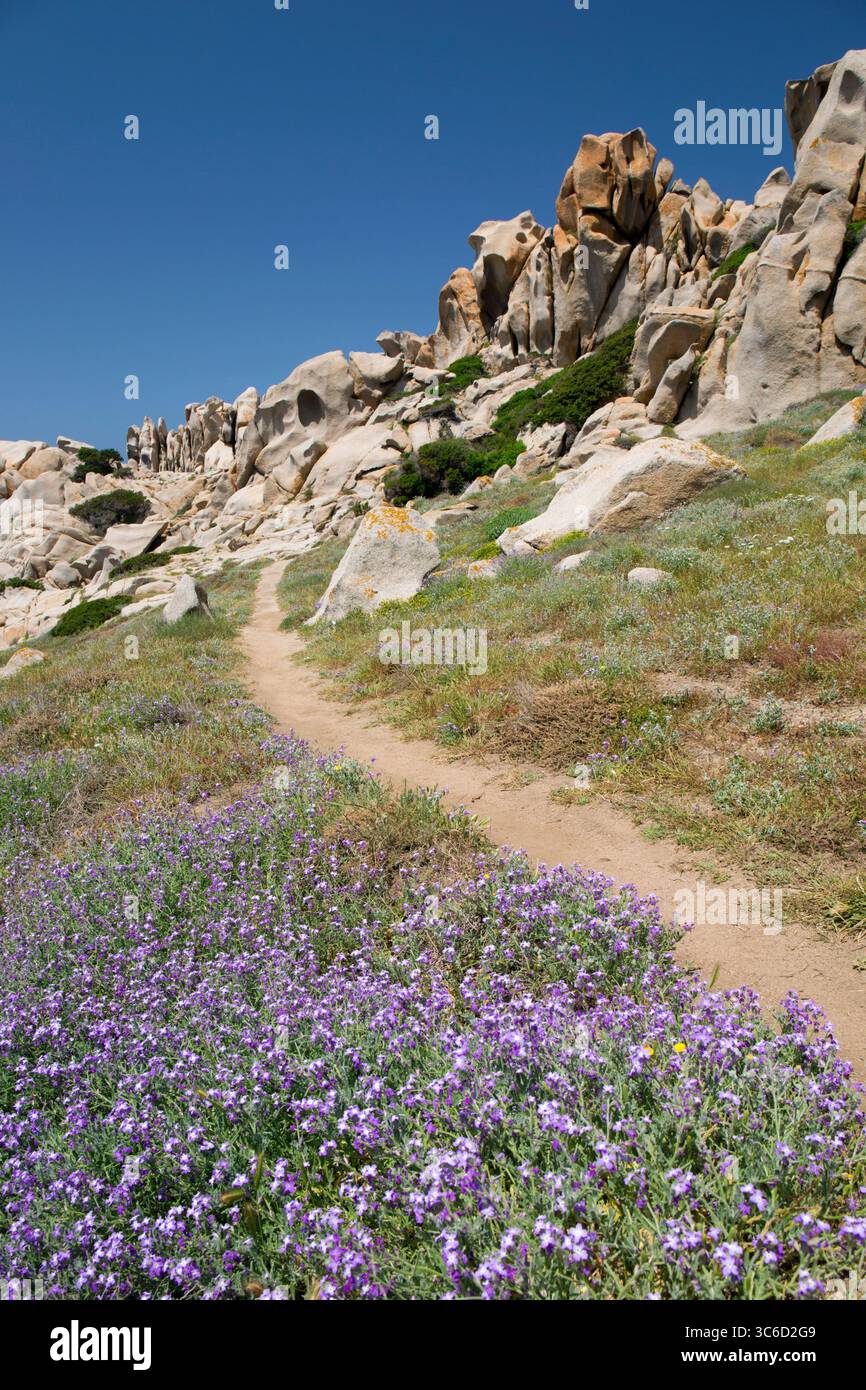 Rough beautiful sardinian rocky landscape hi-res stock photography and ...