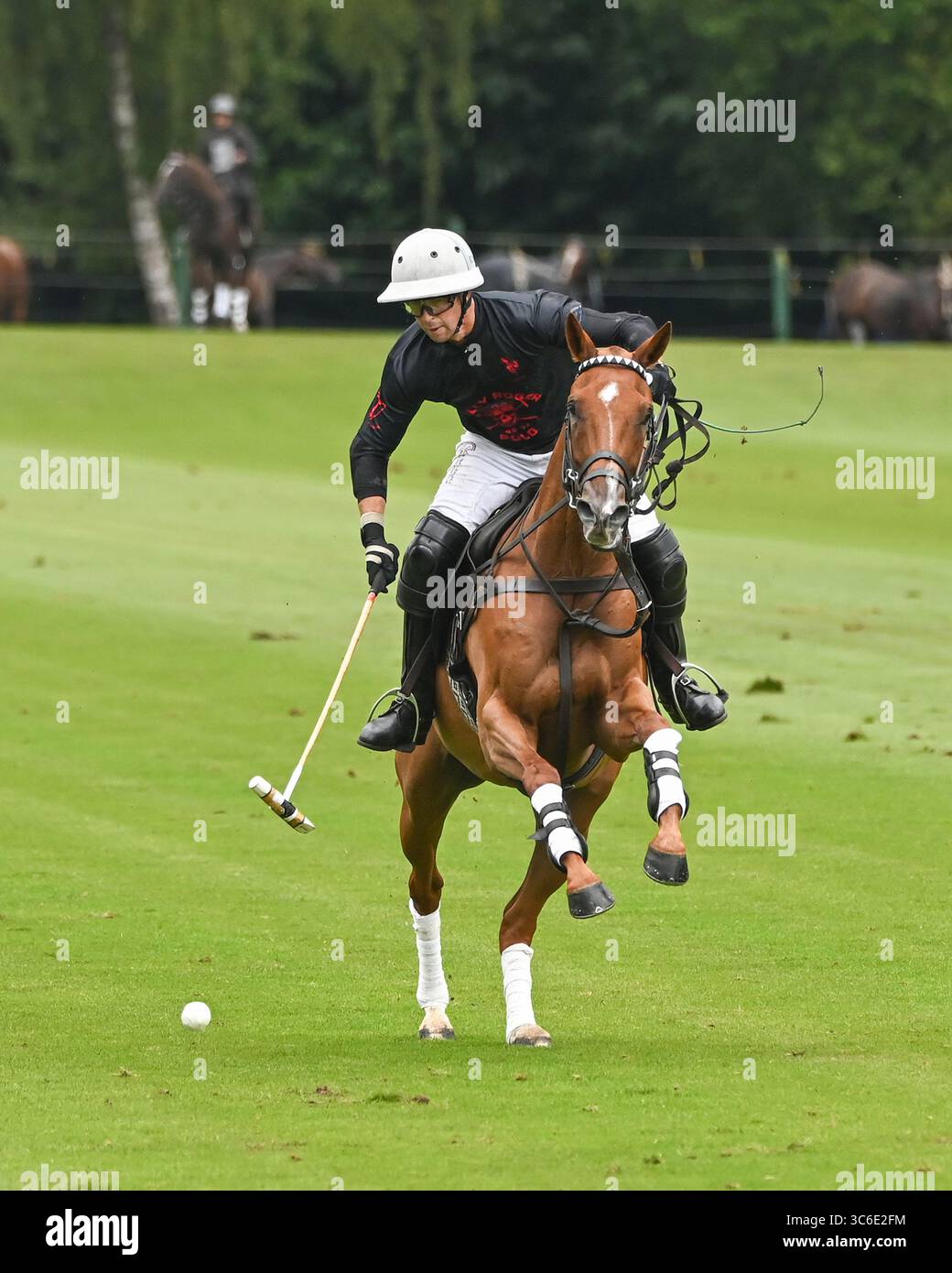 31 Jul 2025, Cowdray Park Polo Club, UK. Jolly Roger King of Polo ...