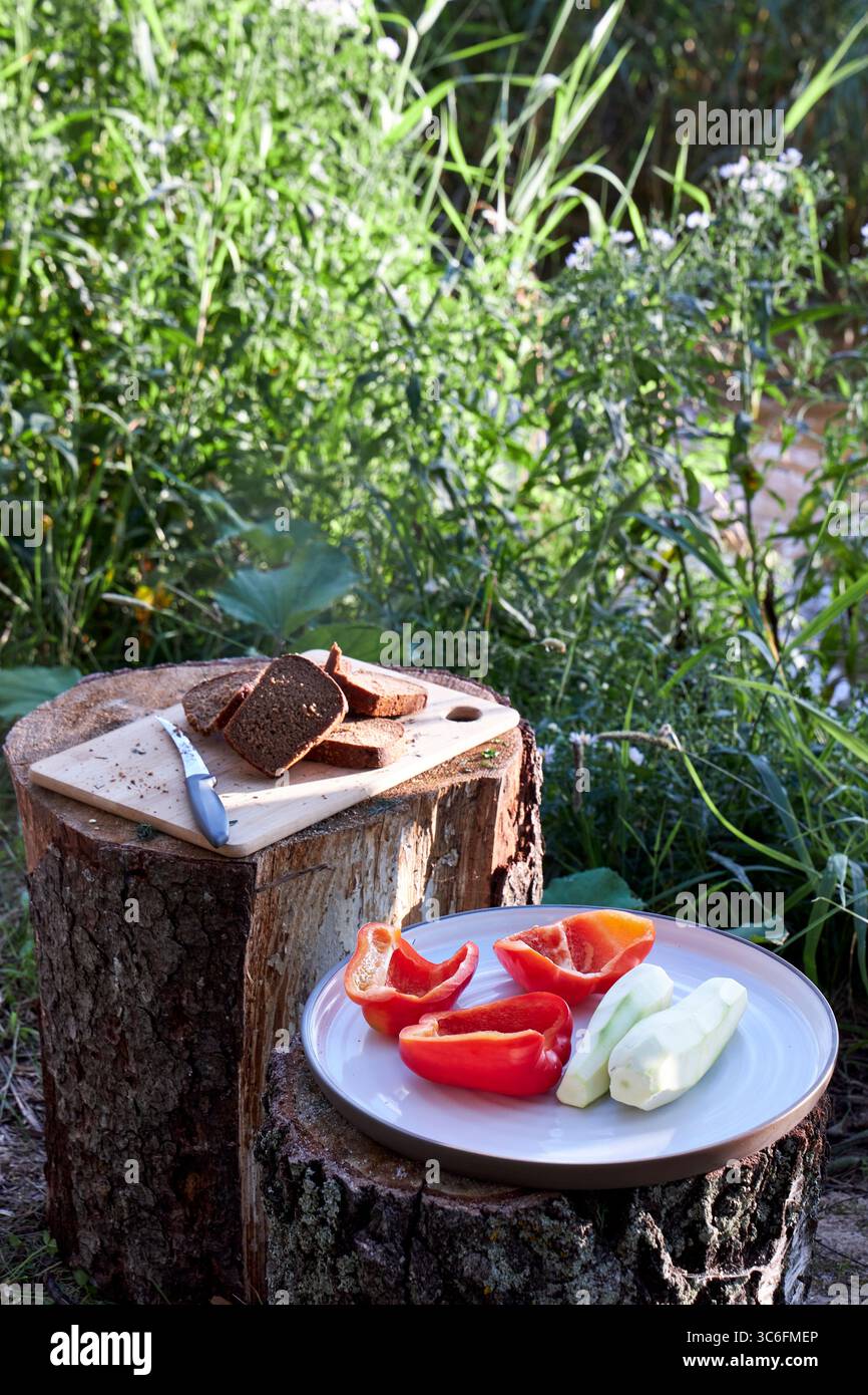 Fresh vegetables and sliced bread outdoors on wooden stumps. Picnic ...