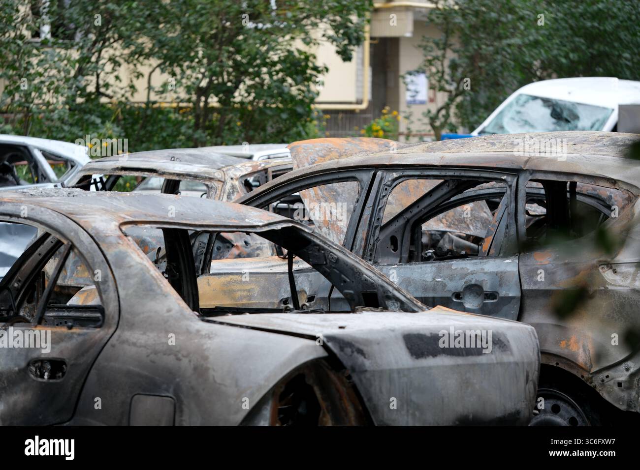 A cluster of charred cars stands forgotten, showcasing nature's ...