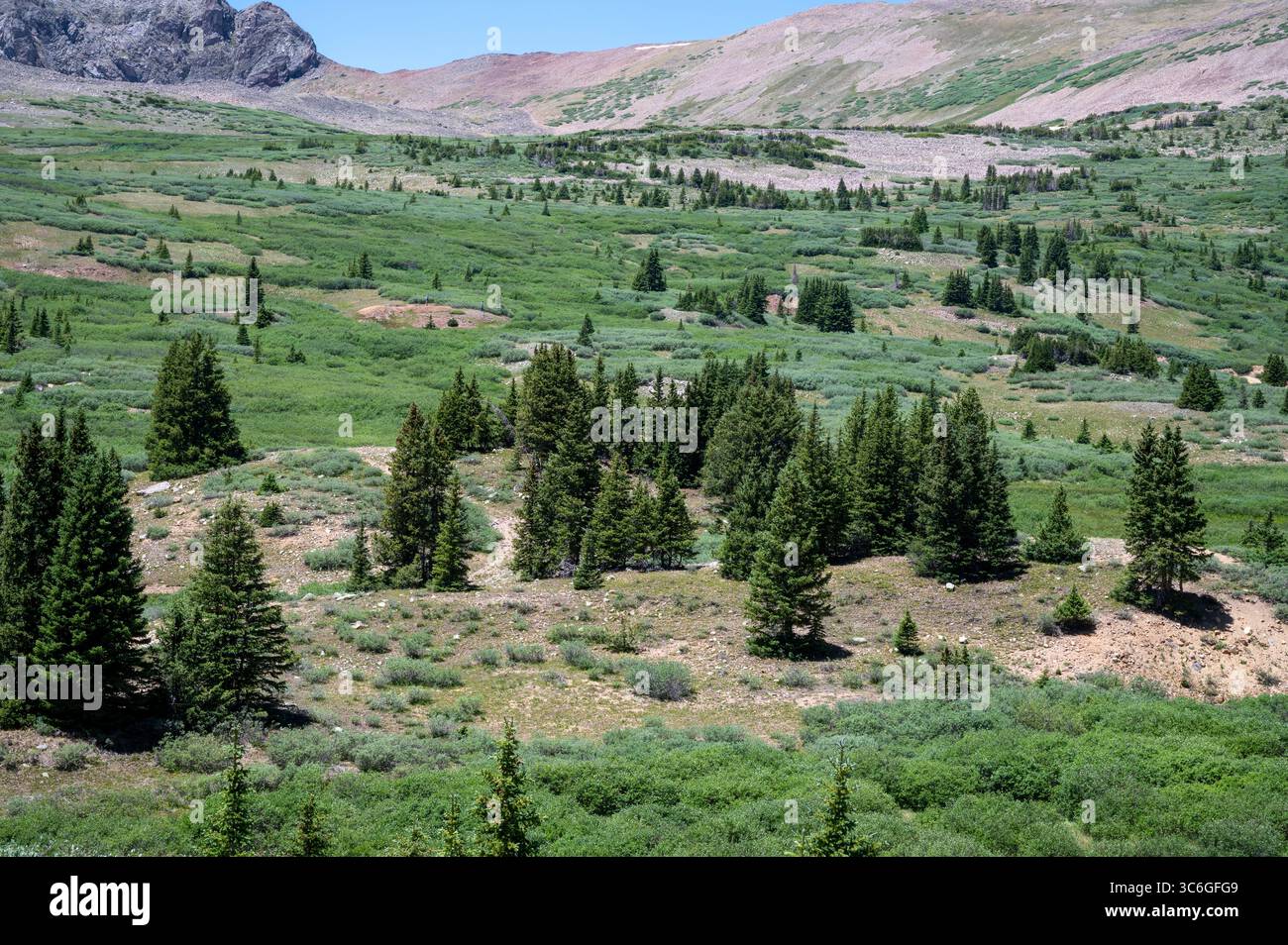High elevation mountion landscape in the rocky mountains of CO Stock ...
