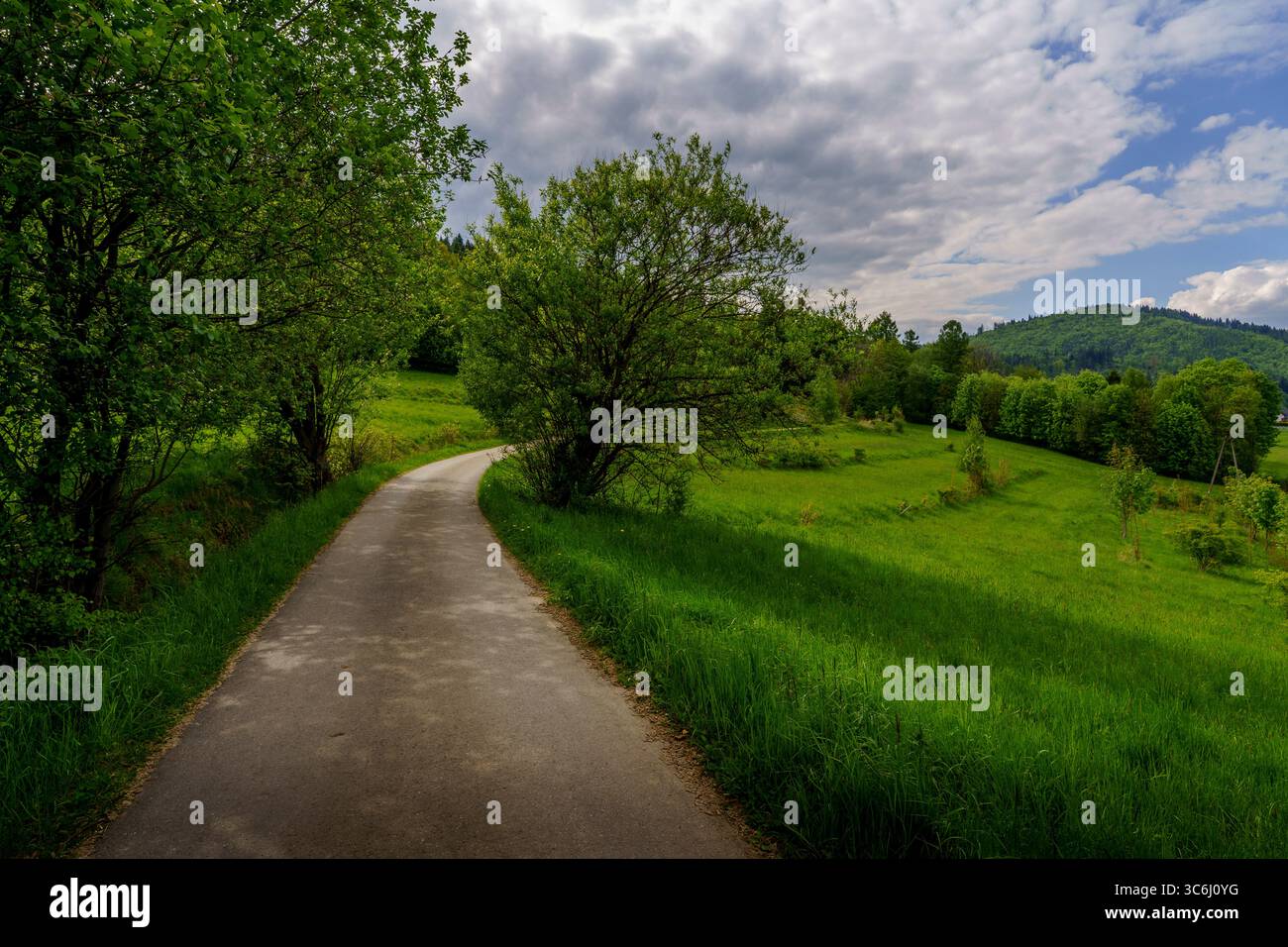 A winding asphalt road curves through a lush green meadow with trees on ...