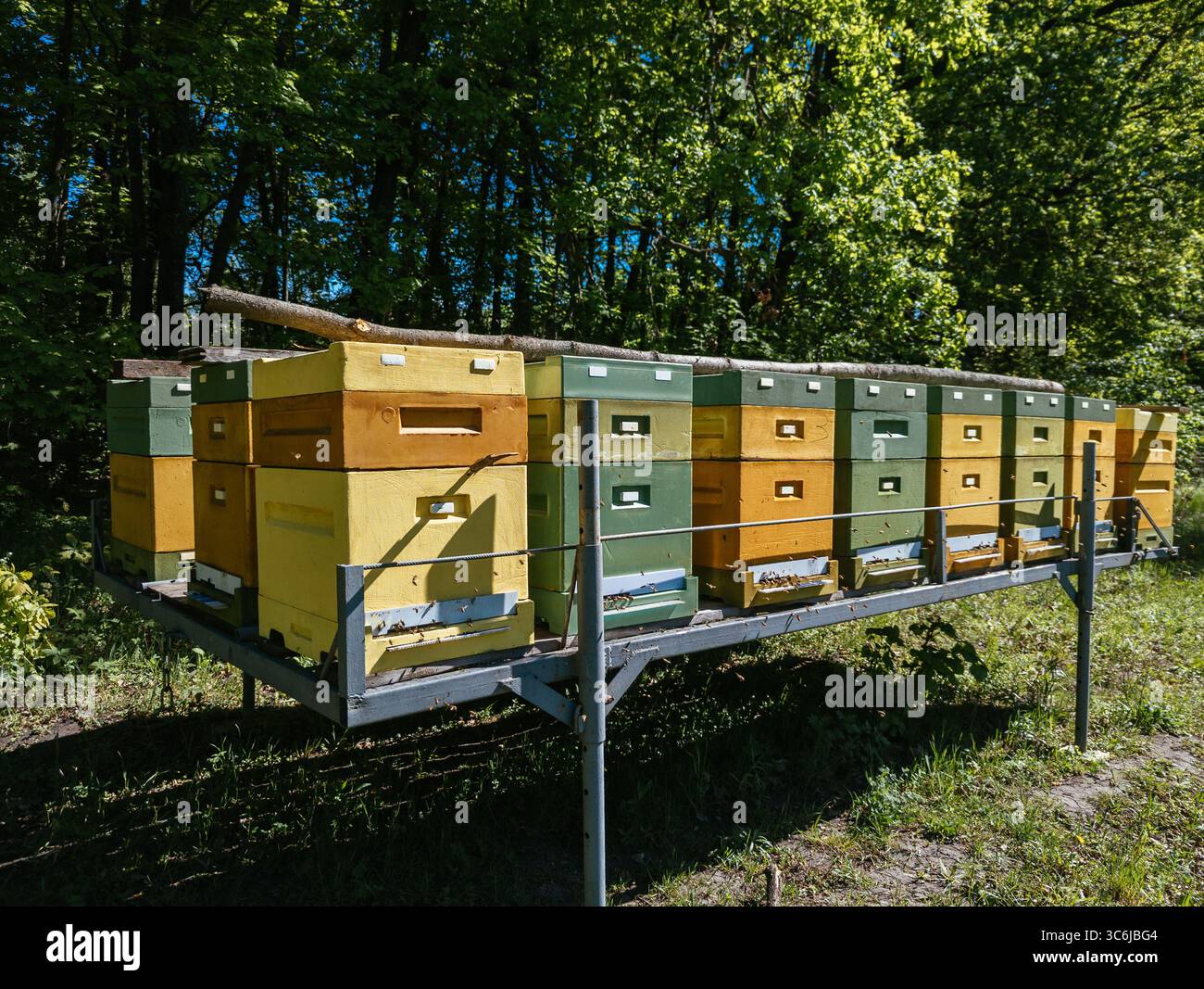 Colorful hives in forest hi-res stock photography and images - Alamy