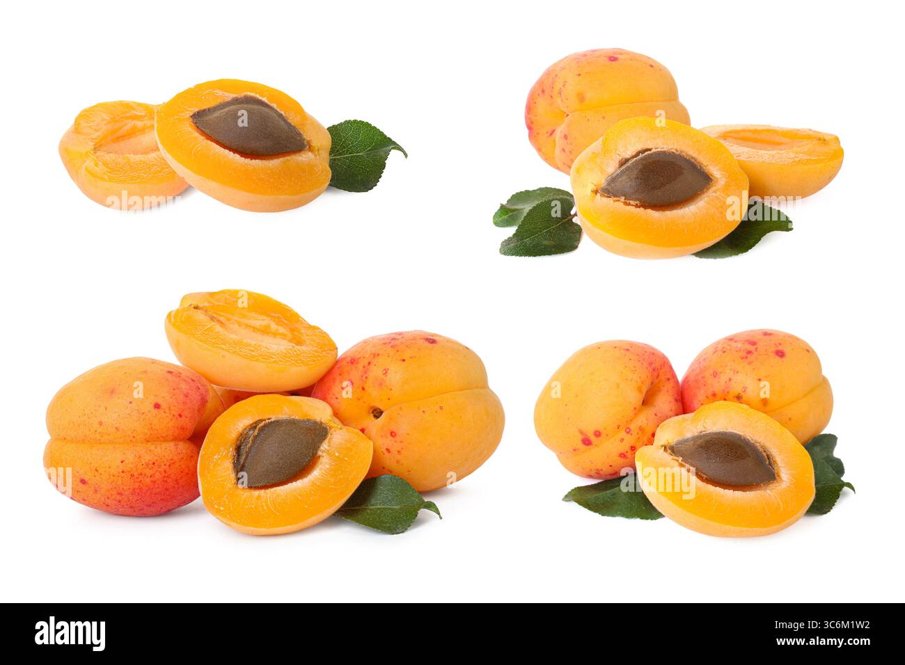 Whole sliced apricots isolated Cut Out Stock Images & Pictures - Alamy