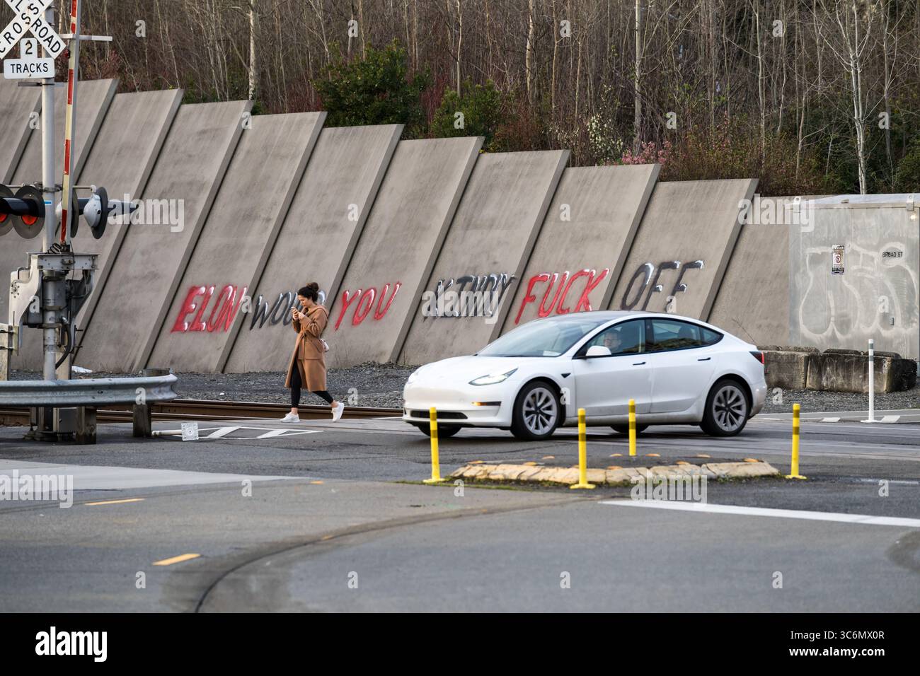 Seattle, USA. 24th Mar 2025. Anti Elon Musk graffiti on the Seattle ...
