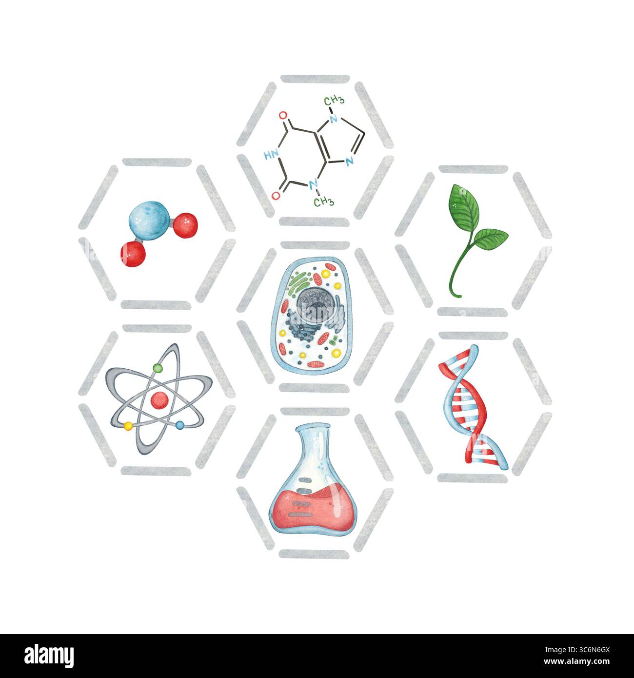 Blank for a postcard, hexagons with biological symbols inside ...