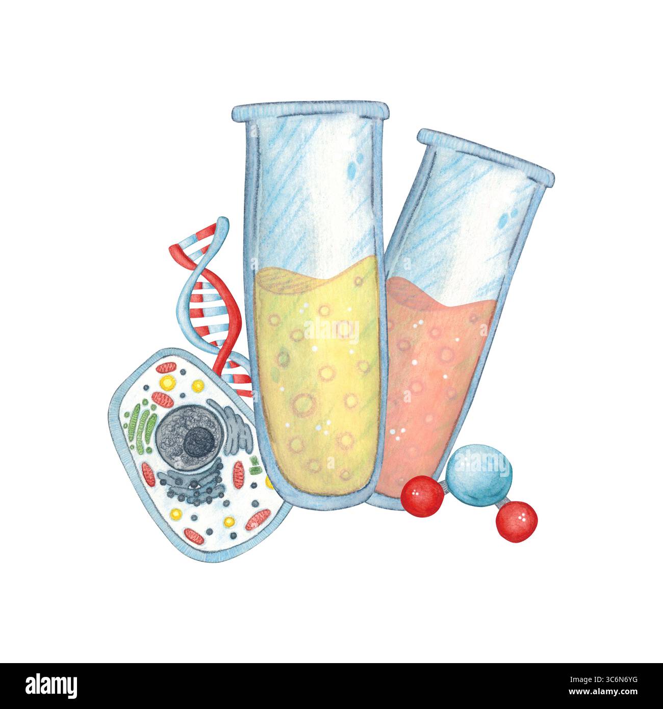 Two test tubes with colored liquids, DNA, cell and water molecule ...