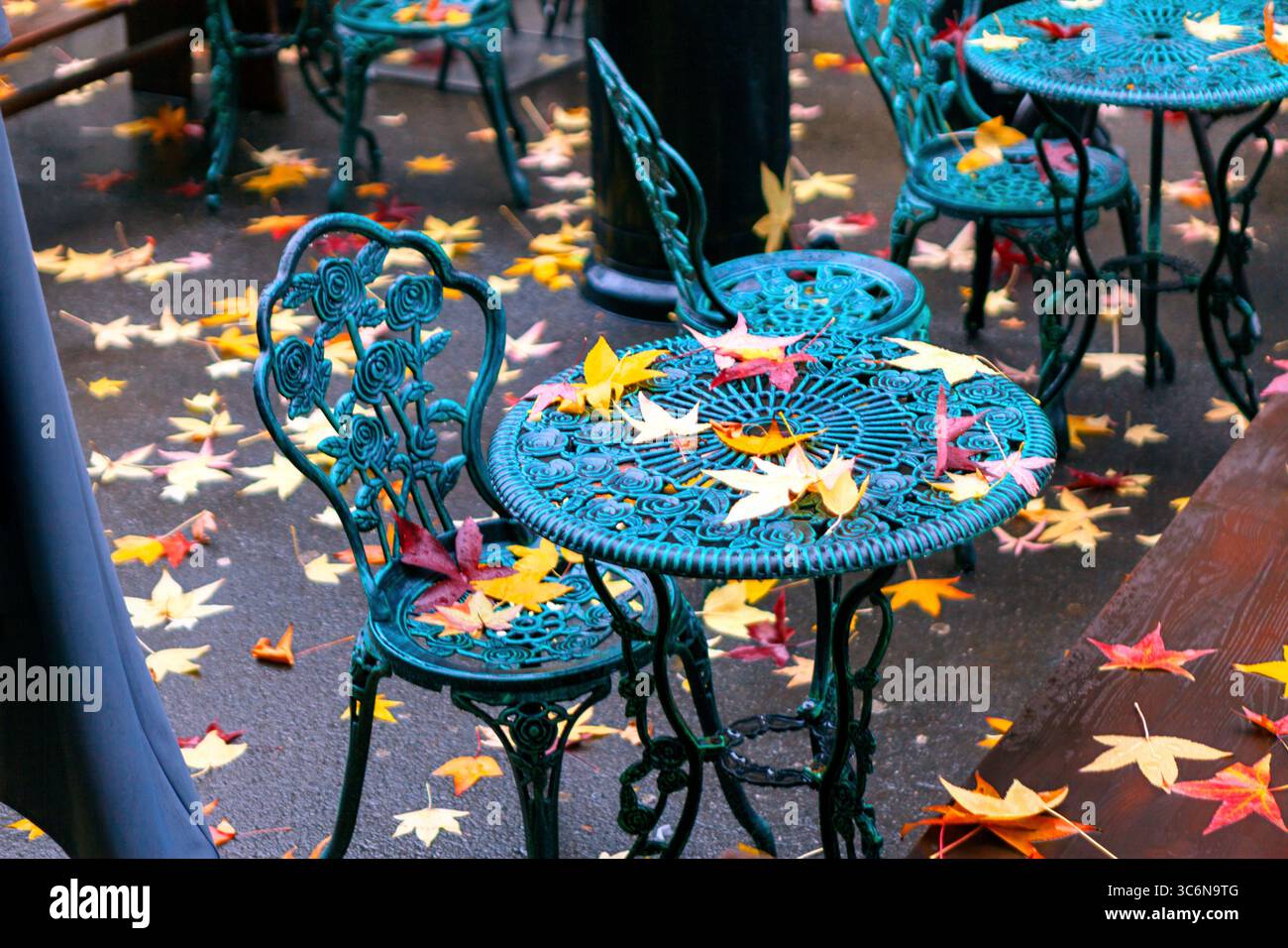 Outdoor cafe tables and chairs, adorned with a carpet of autumn leaves ...