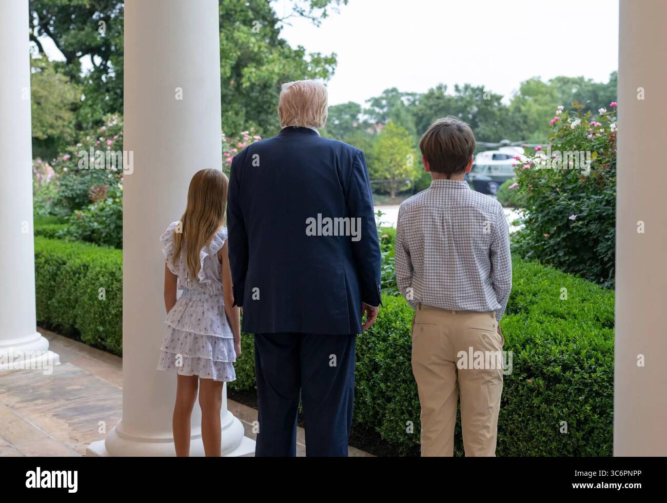 White house rose bushes hi-res stock photography and images - Alamy