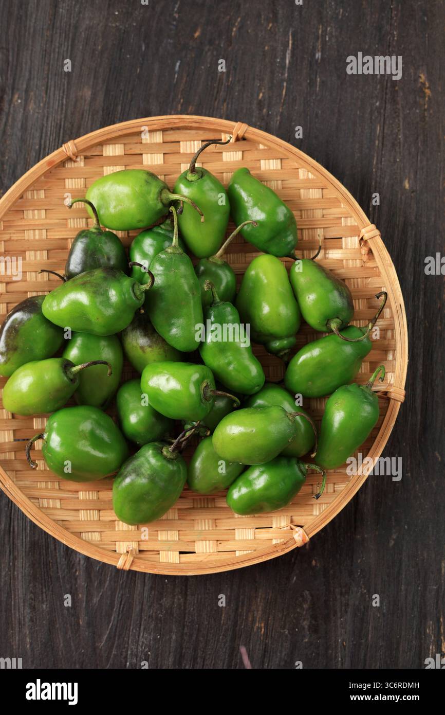 Top View Cabe Gendot or Dieng Chilli Habanero, Popular Chilli ini ...