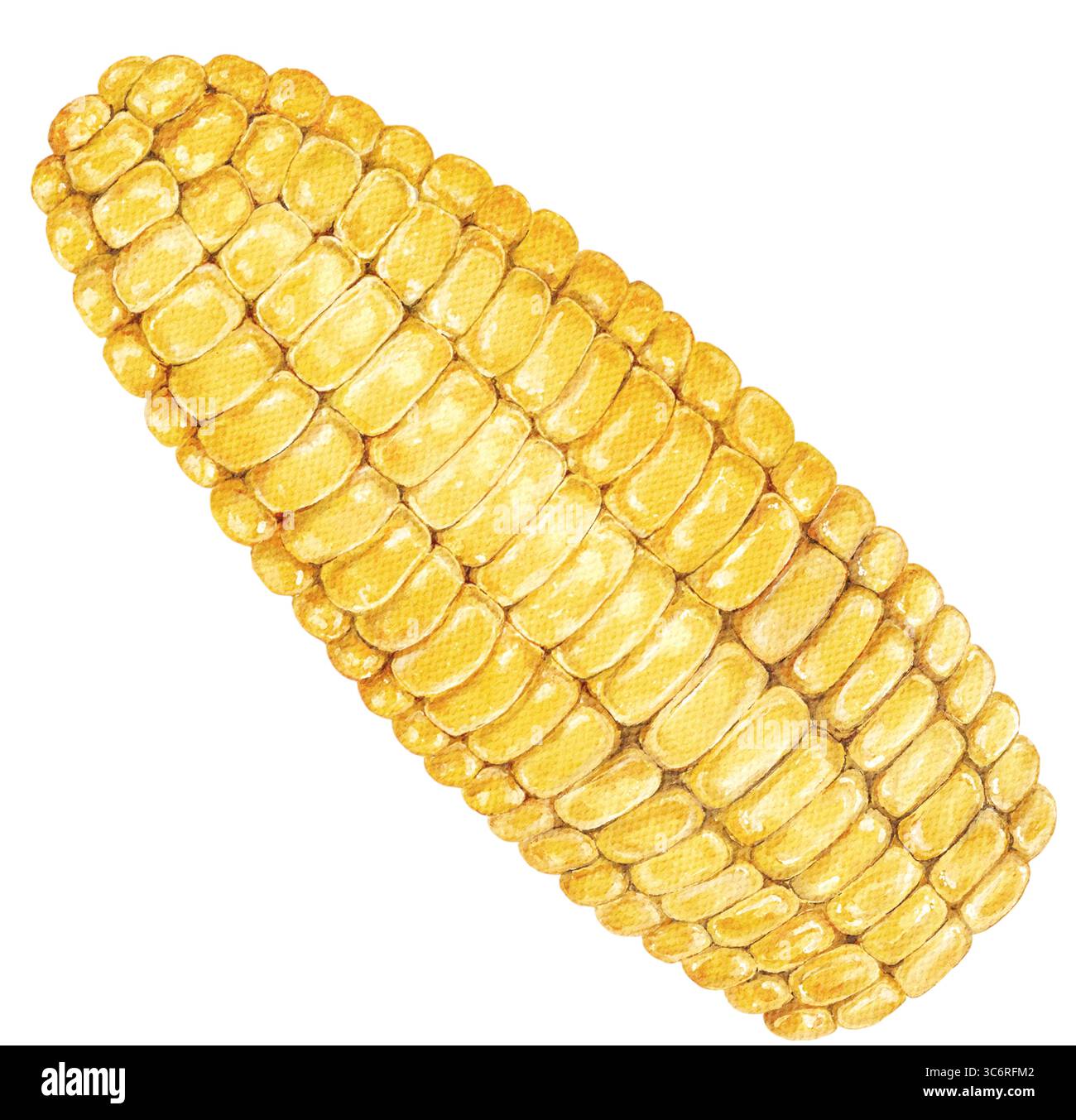 Fresh yellow corn kernels ideal hi-res stock photography and images - Alamy