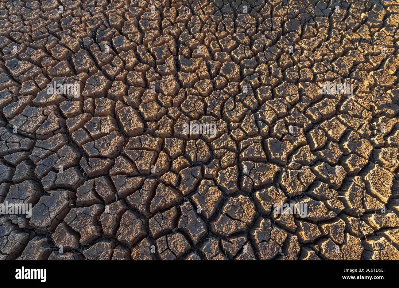Cracked soil in dams on the common land in Emmaville, northern new ...