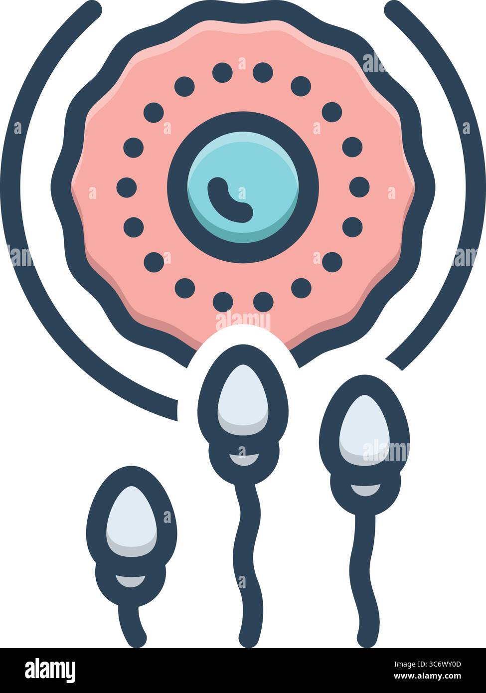 Gamete fusion Stock Vector Images - Alamy