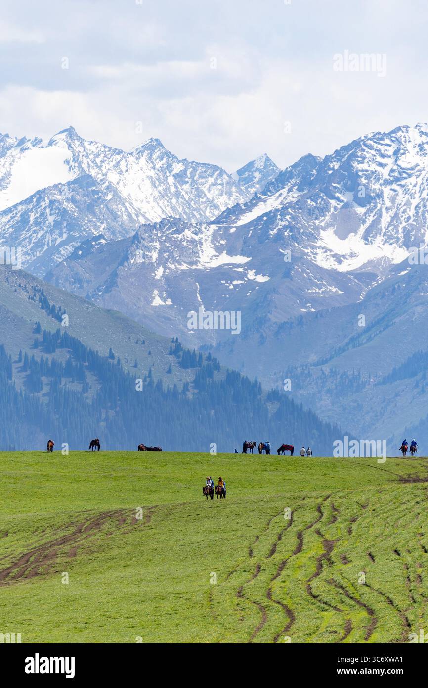 Summer scenery of Kalajun Grassland in Ili Kazakh Autonomous Prefecture ...