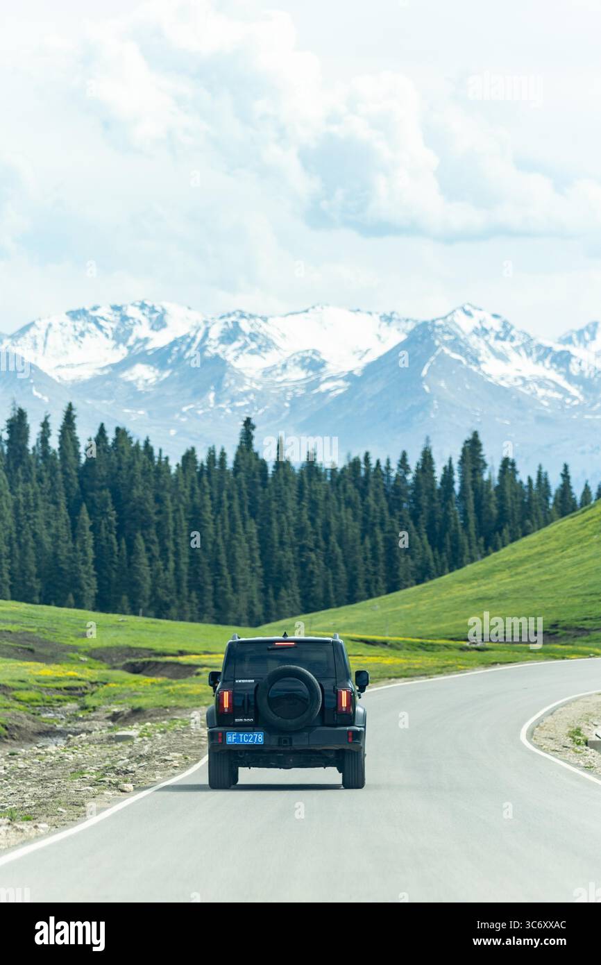 Summer scenery of Kalajun Grassland in Ili Kazakh Autonomous Prefecture ...
