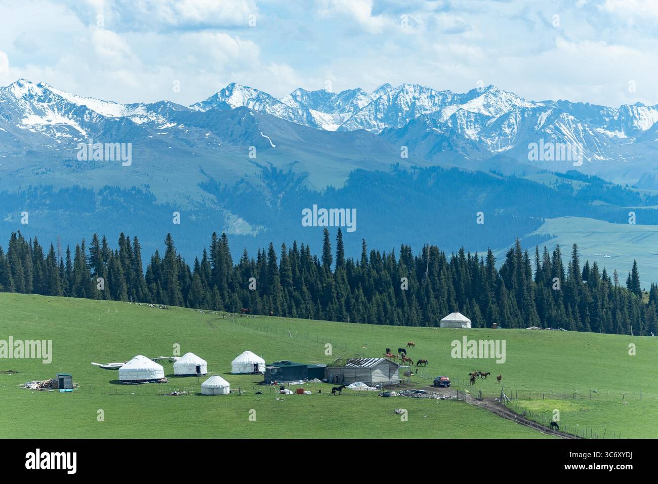 Summer scenery of Kalajun Grassland in Ili Kazakh Autonomous Prefecture ...