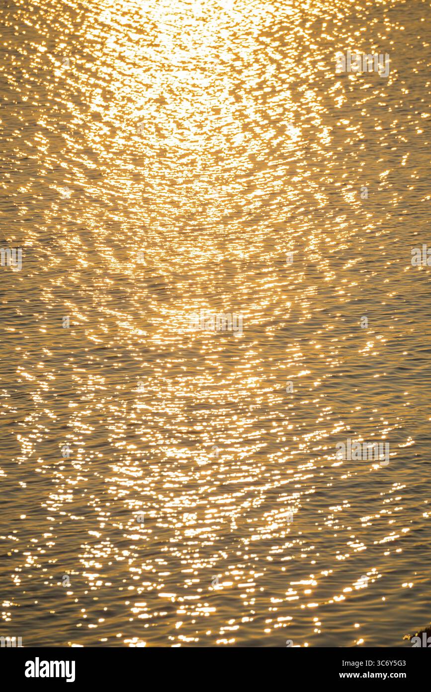 Olden sunlight is reflected by the water surface of the North Sea ...