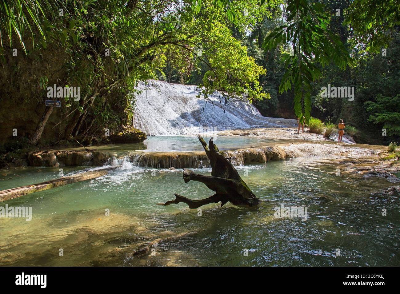 Central America Mexico Chiapas Palenque Roberto Barrios waterfalls ...