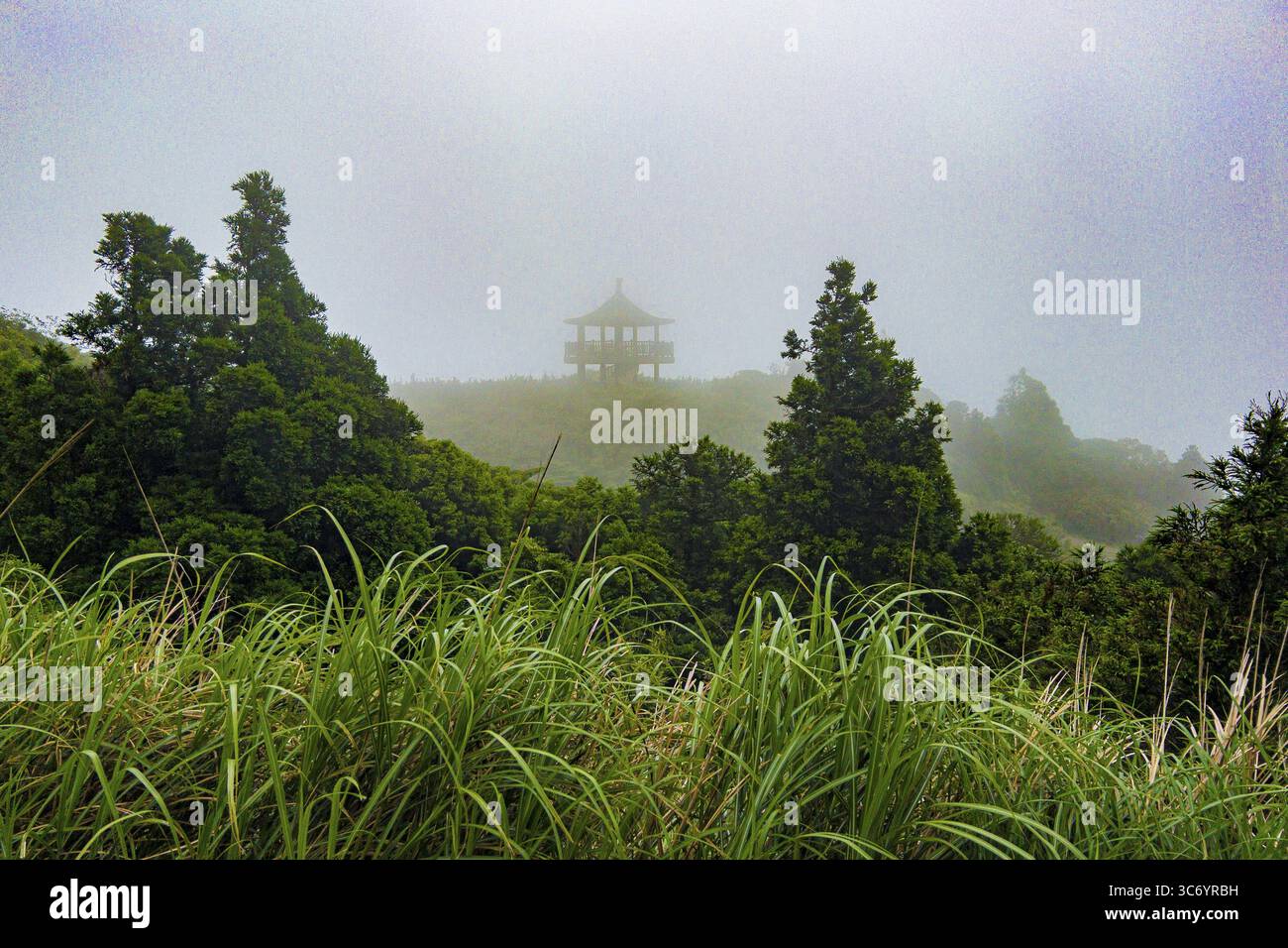 Viewing platform on popular hi-res stock photography and images - Alamy