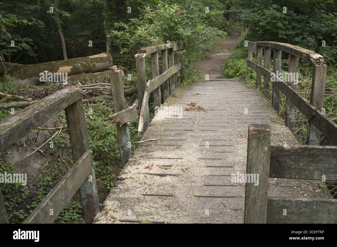 Dilapidated wooden bridge with broken railing leading to a path in a ...