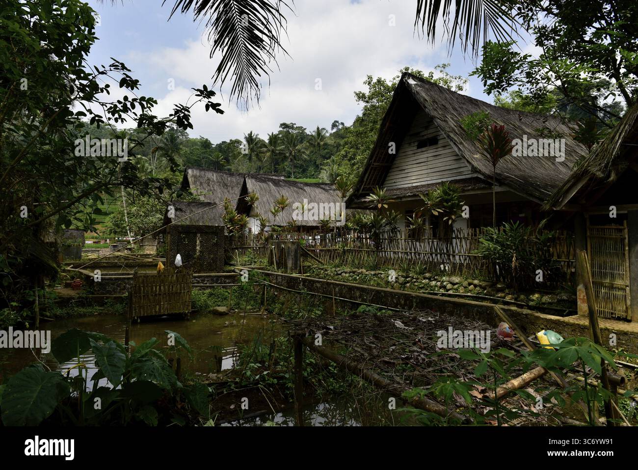 Traditional bamboo huts and ponds surrounded by green rice paddies and ...