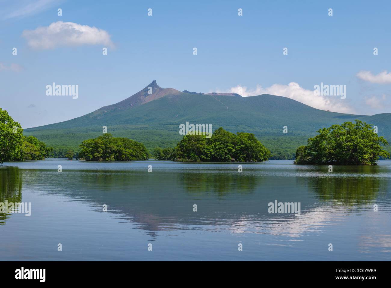 Onuma koen national park hi-res stock photography and images - Alamy