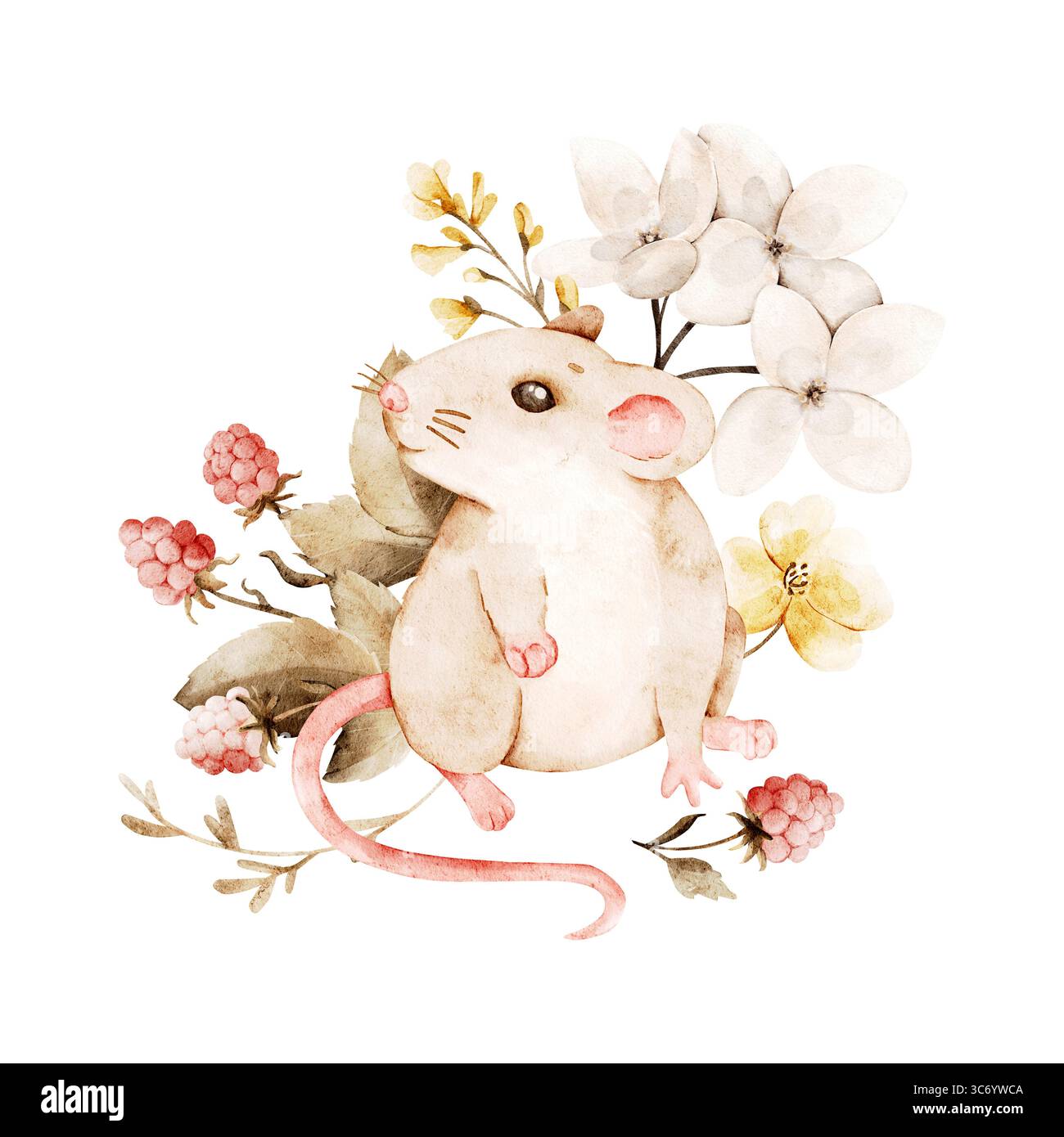 Cute field baby mouse hi-res stock photography and images - Alamy